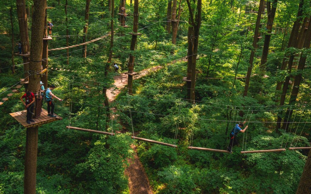The Adventure Park at Sandy Spring | Zipline & Ropes Courses